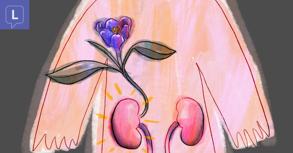 5 Practical Tips to Thrive After a Kidney Transplant | Lupus.net